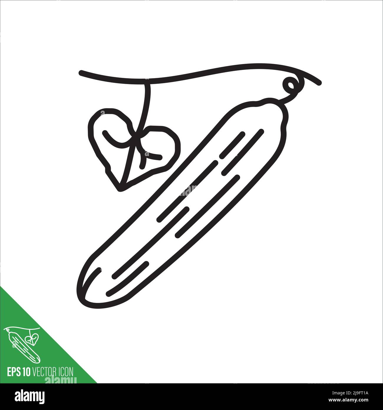 Cucumber gourd vegetable with vine and leaf icon, outline style vector ...
