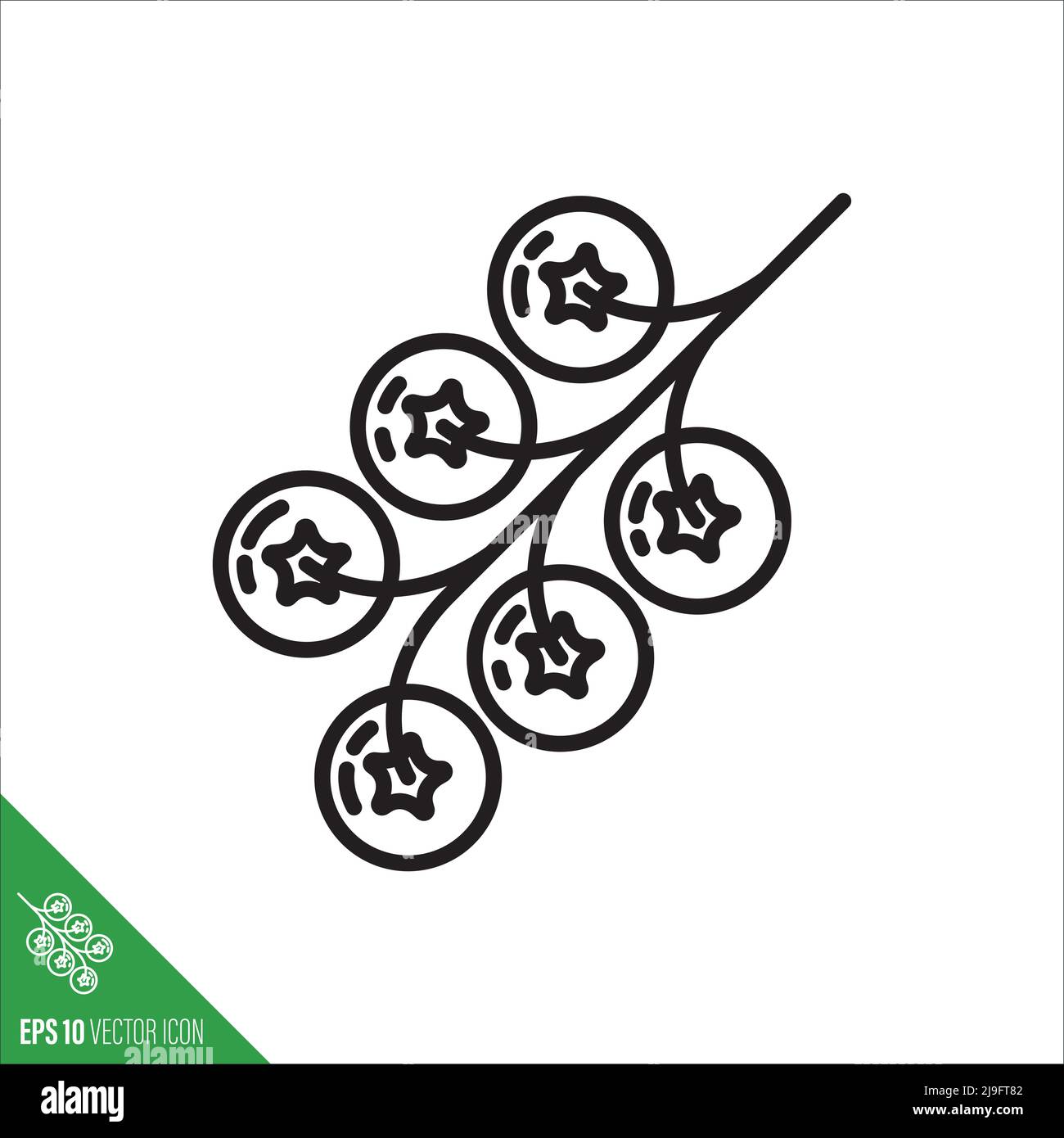 Cherry Tomatoes panicle vegetable icon, outline style vector ...