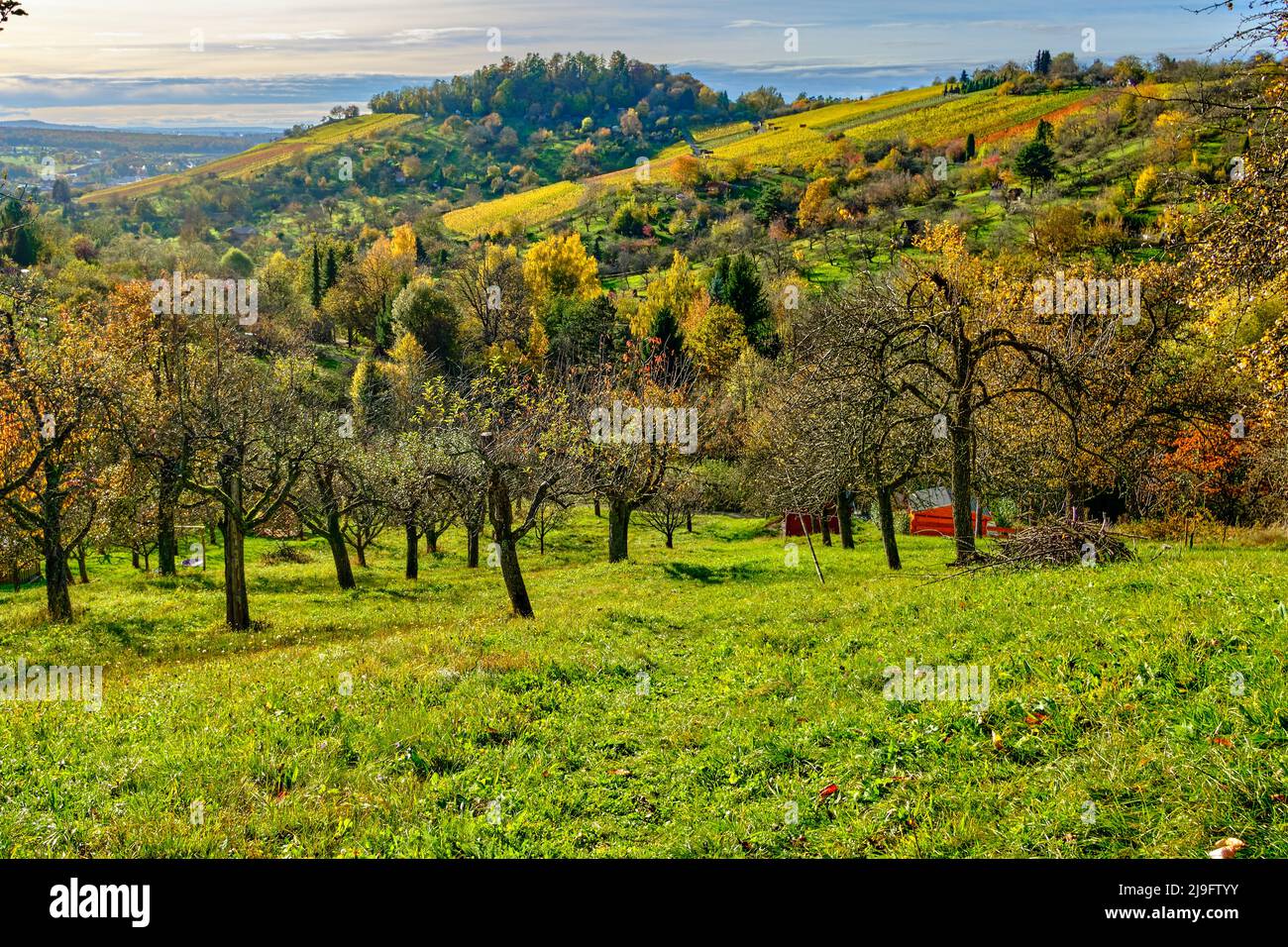 Ecological orchard hi-res stock photography and images - Alamy