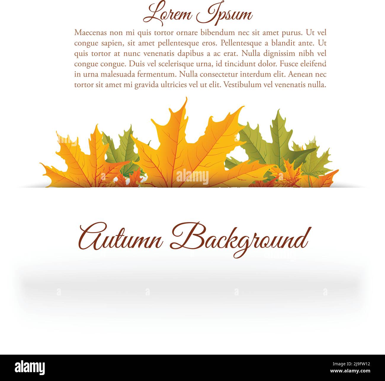 Abstract floral autumn template with text orange and green falling ...