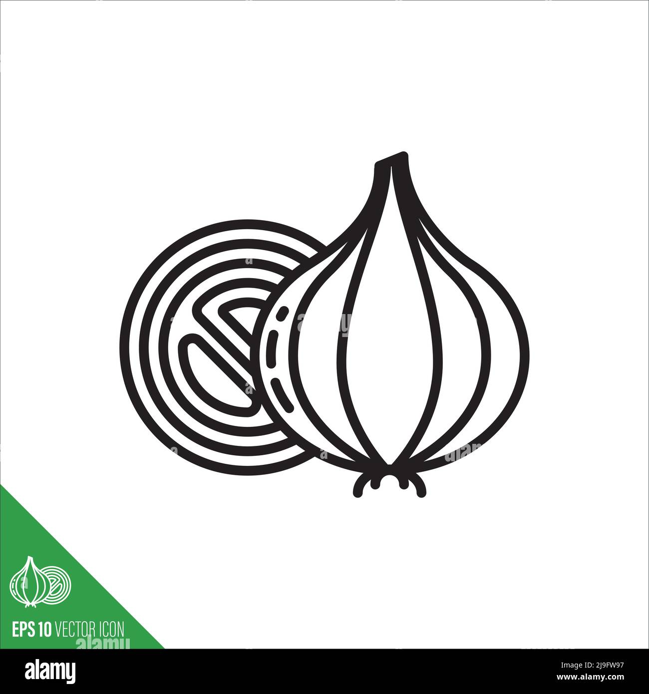 Onion vegetable icon, whole bulb and cross-section, outline style ...