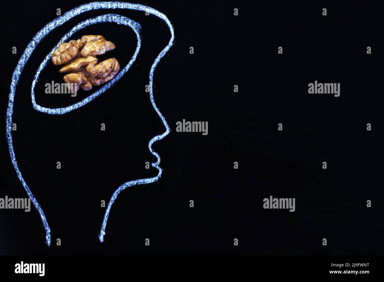 silhouette of person drawn head with nuts and abstraction brain in the ...