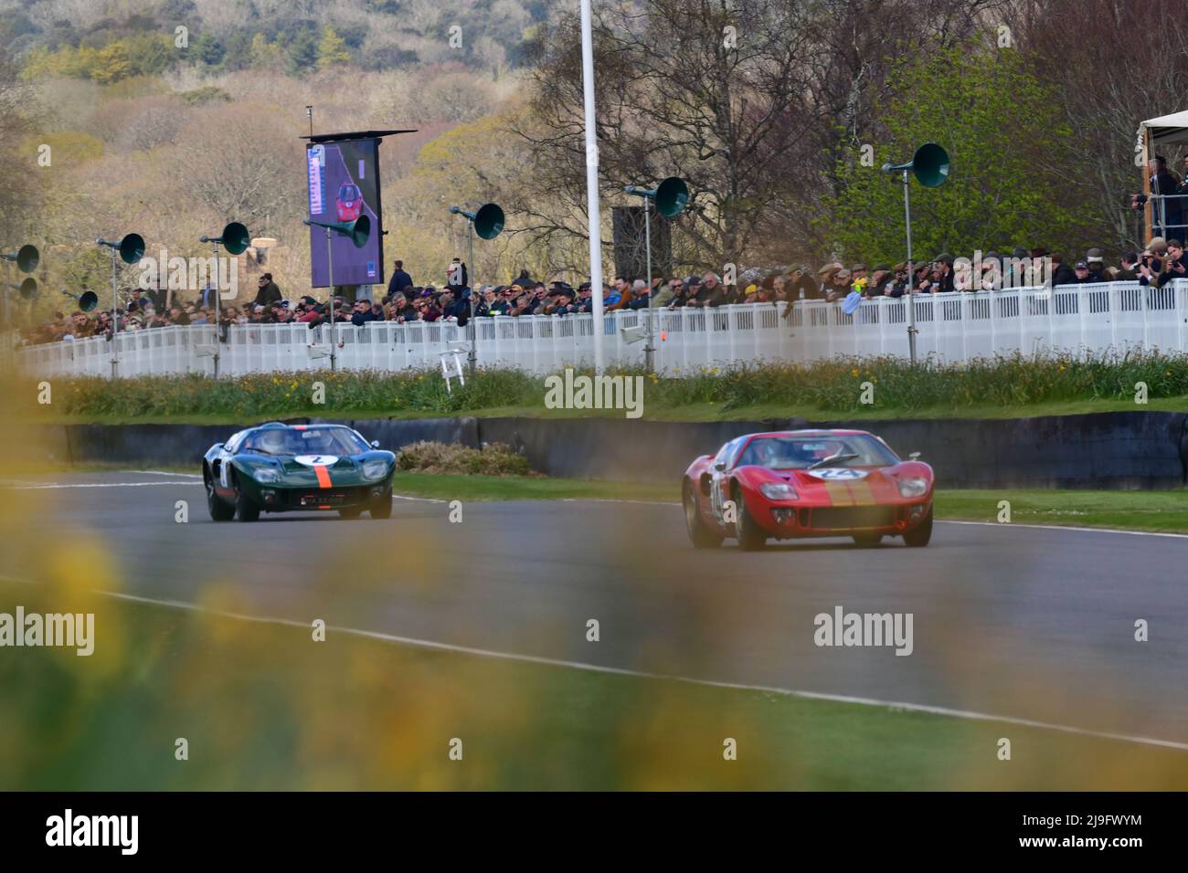 A pair of GT40's with daffodils in the foreground, Christian Glaesel ...