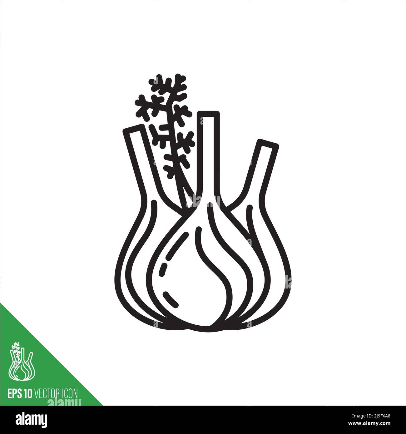 Fennel bulb vegetable icon, outline style vector illustration Stock ...