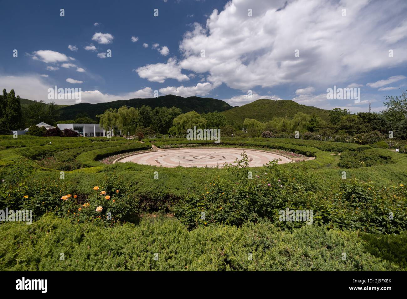 The Concentric rings Stock Photo - Alamy