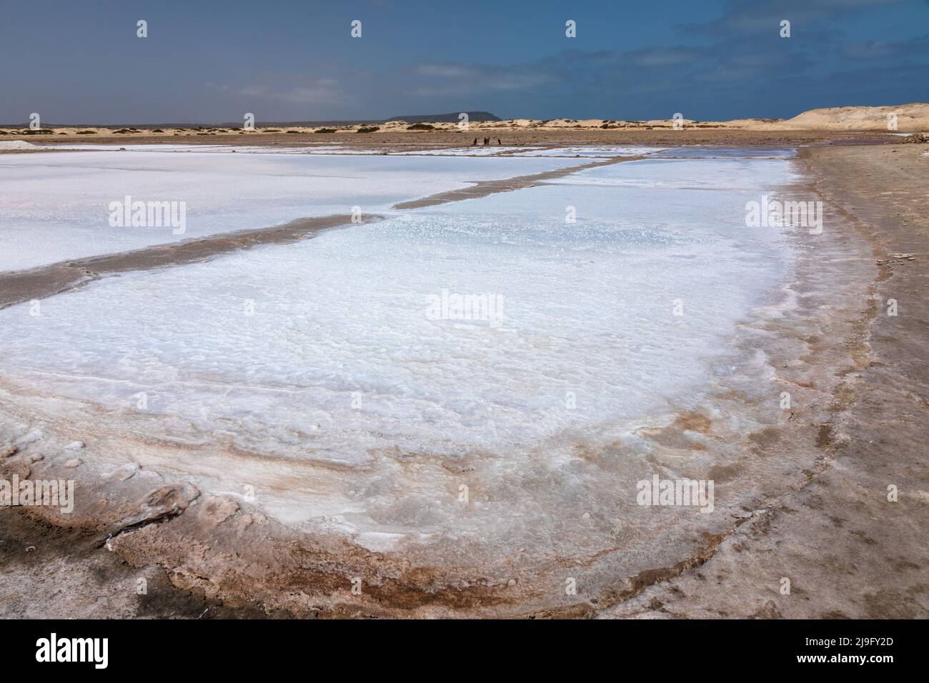 Salt ponds of Santa Maria /Salinas de Santa Maria. A protected ...