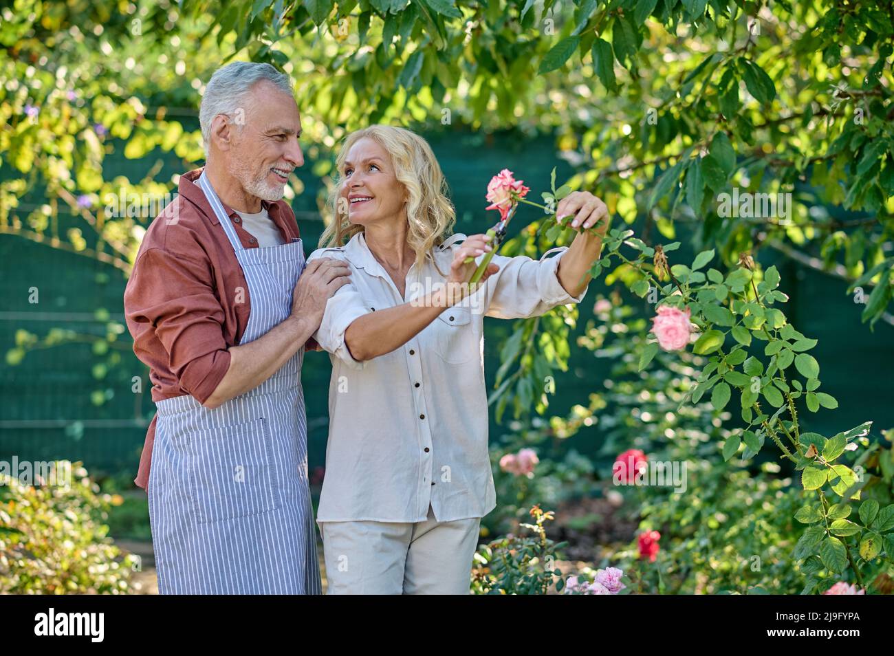 Man hugging woman cutting rose in garden Stock Photo - Alamy