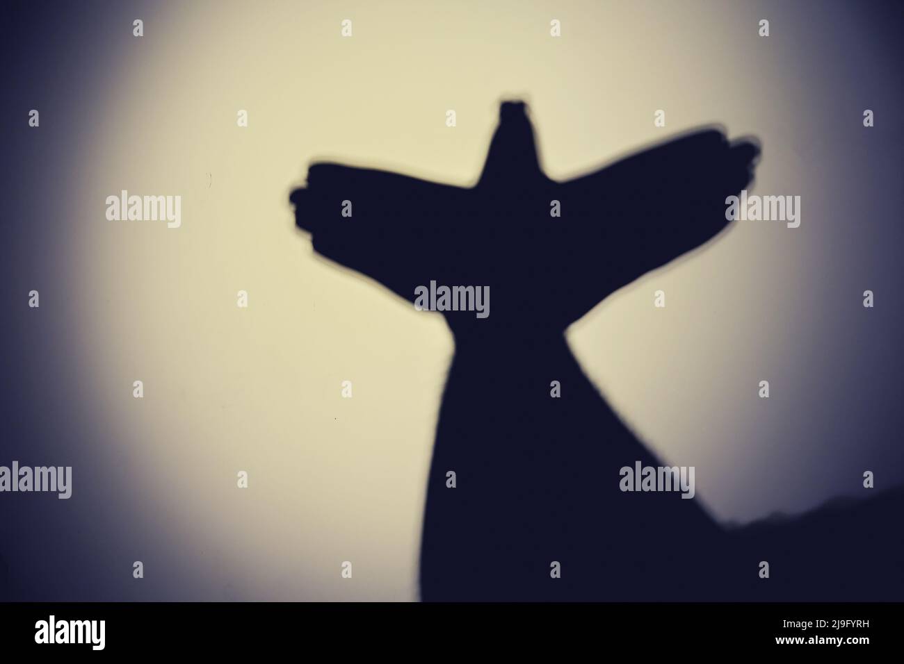 Dove human hands peace symbol hi-res stock photography and images - Alamy