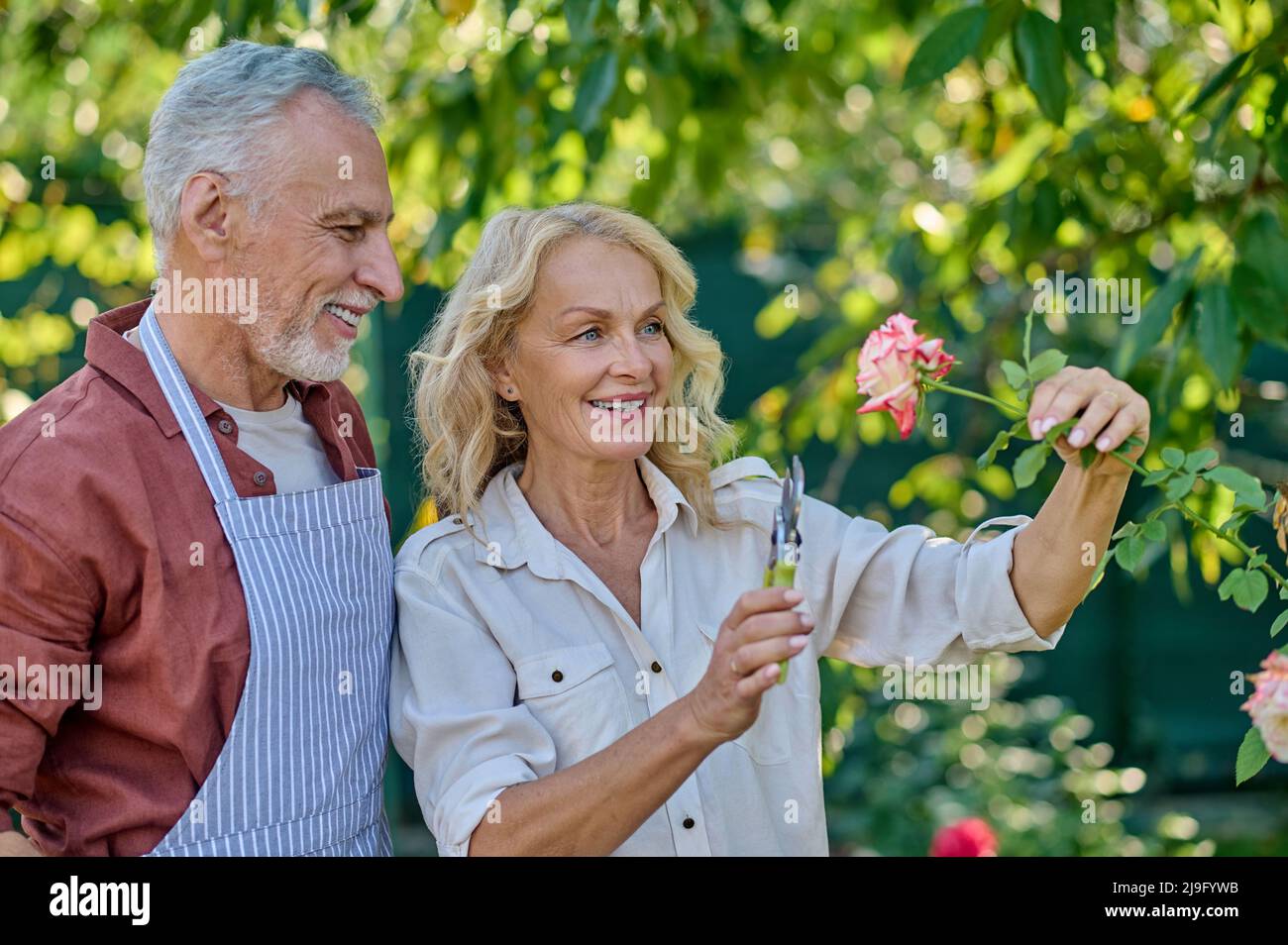 Woman standing touching bush looking hi-res stock photography and ...