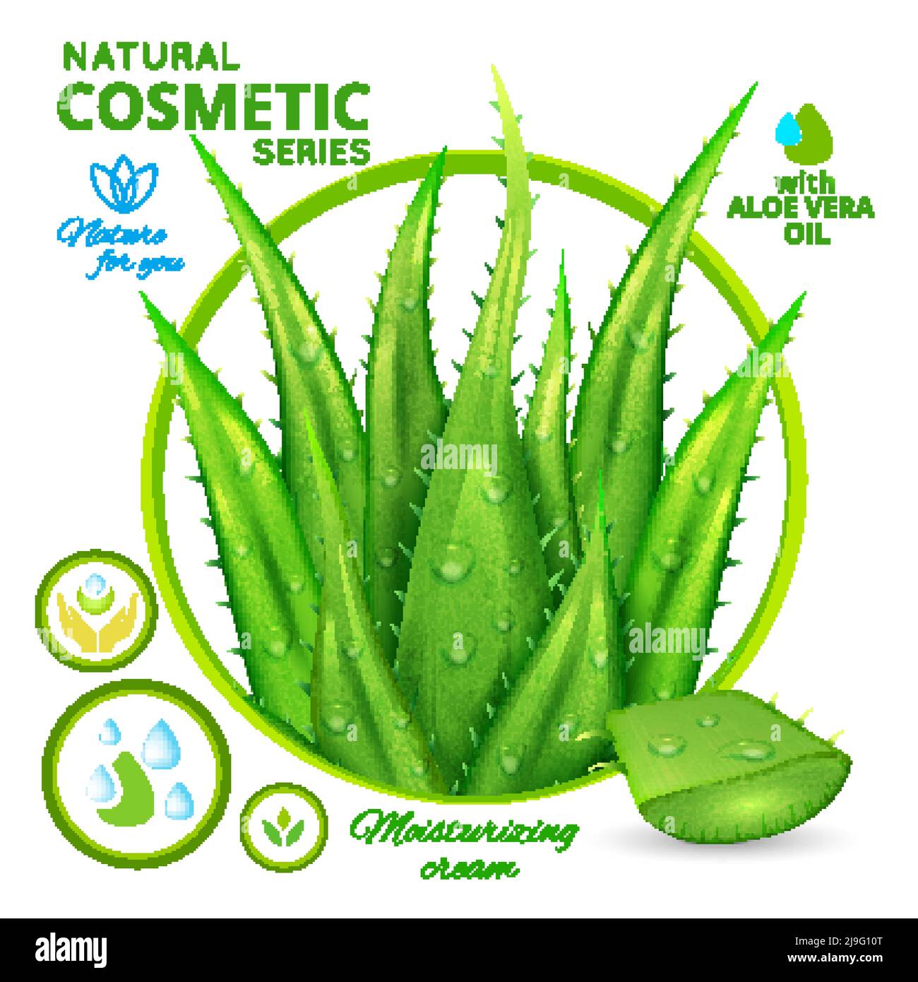 Aloe vera natural cosmetics poster including 3d leaves of plant floral ...