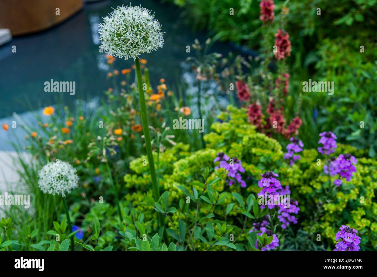 London, UK. 23rd May, 2022. The BBC Studios our green planet garden an ...