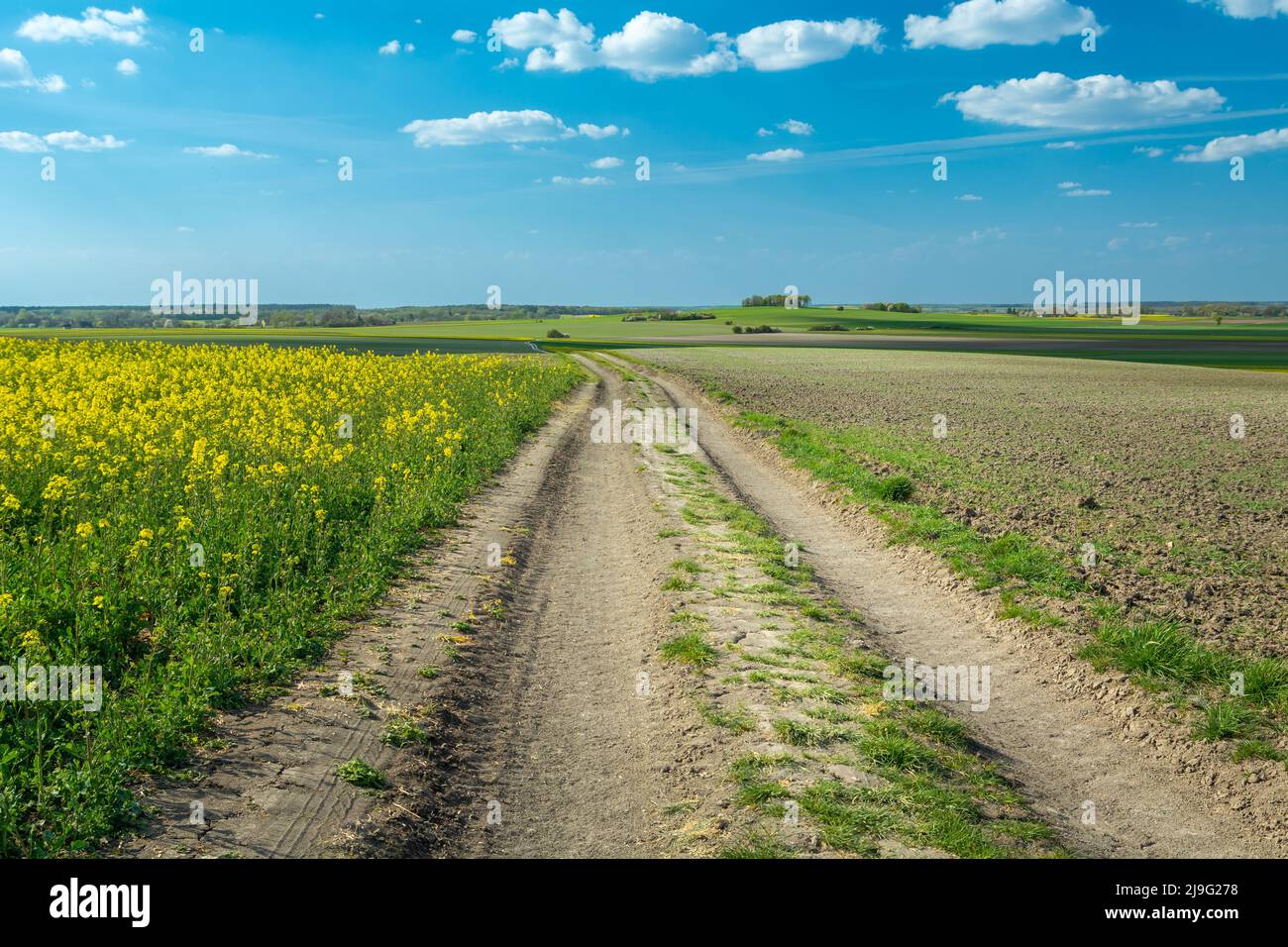 A landscape of spring fields with a rural road in eastern Poland, April ...