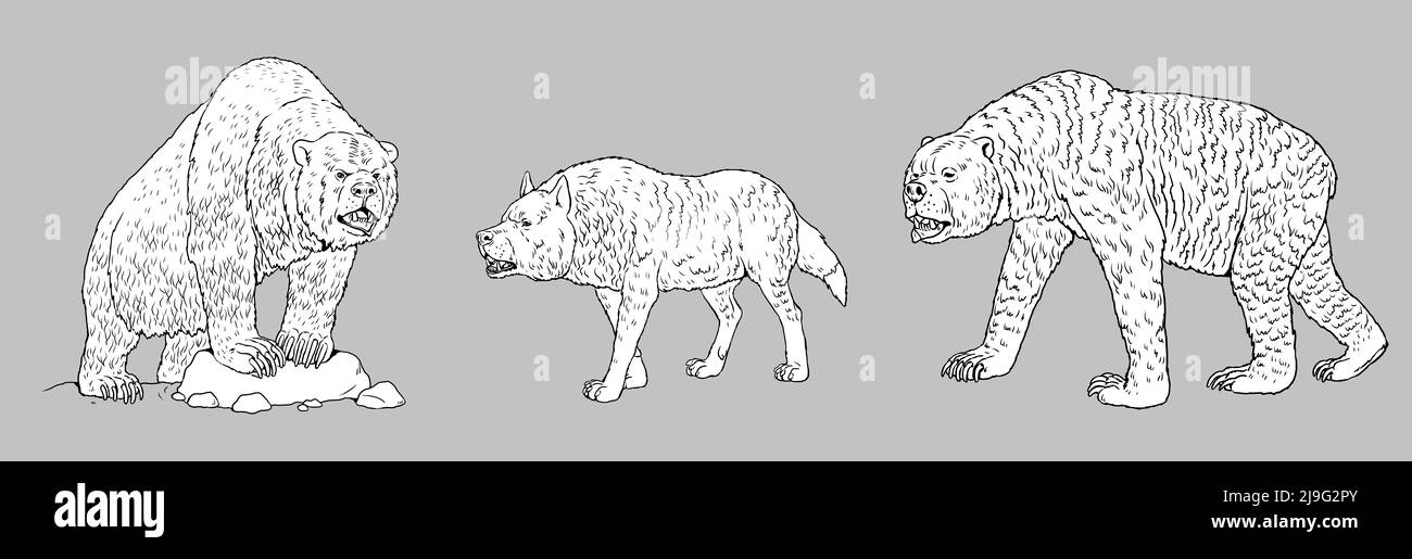 Prehistoric Predators Short Faced Bear Short Faced Bear (Eryel & Sam)