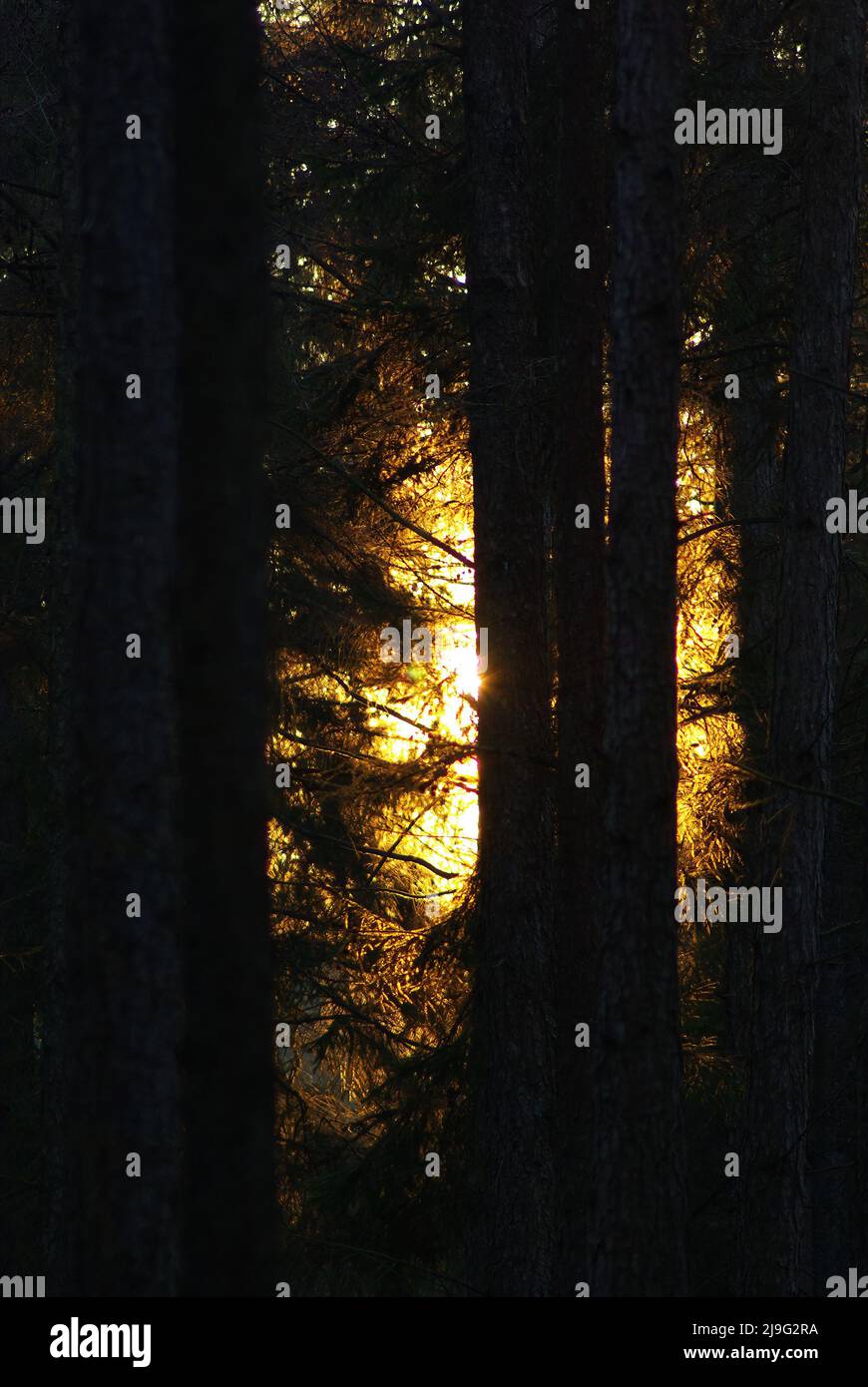 Blocked sun hi-res stock photography and images - Alamy