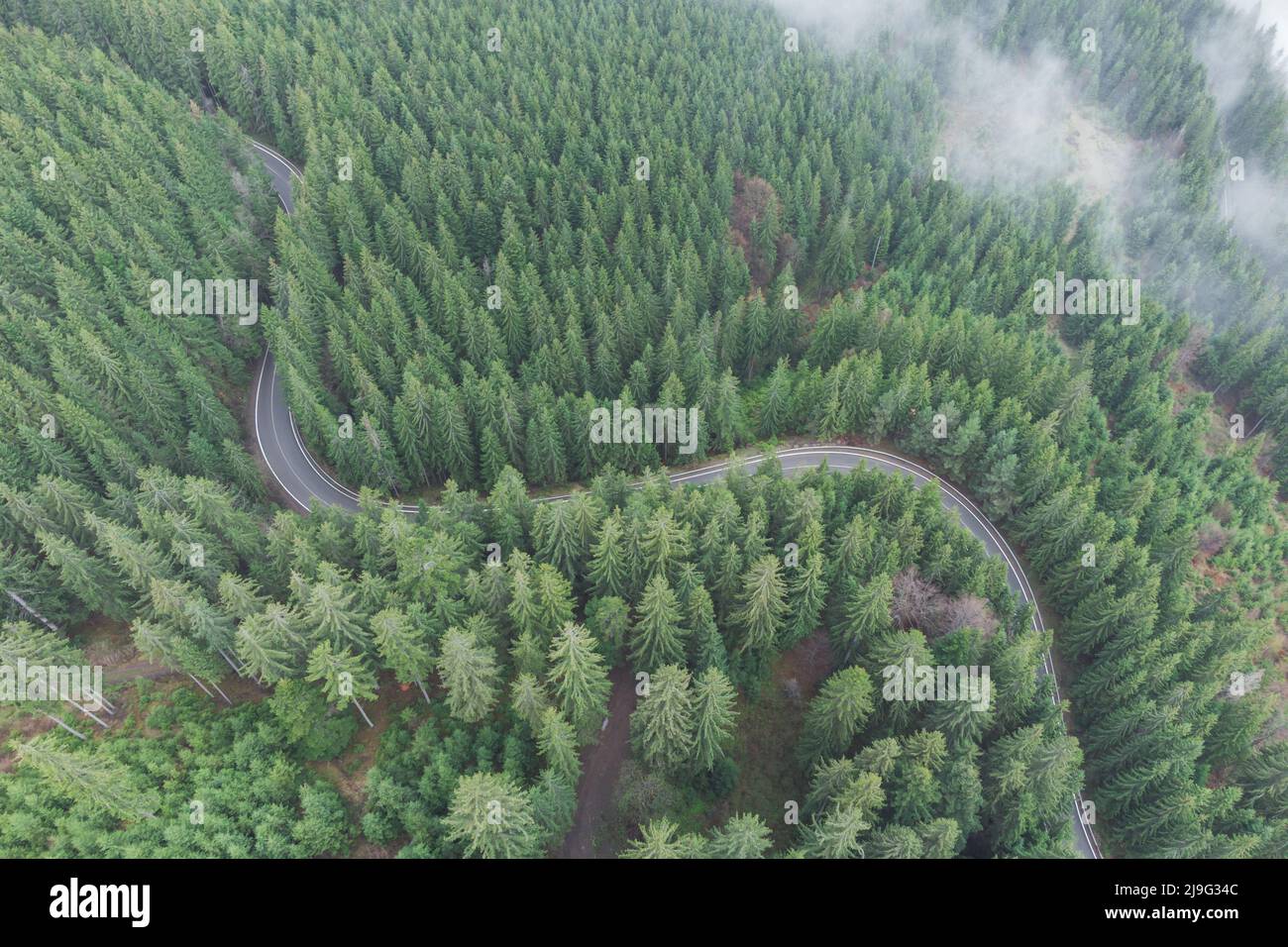 Aerial view of the mountain road in the beautiful forest in springtime ...