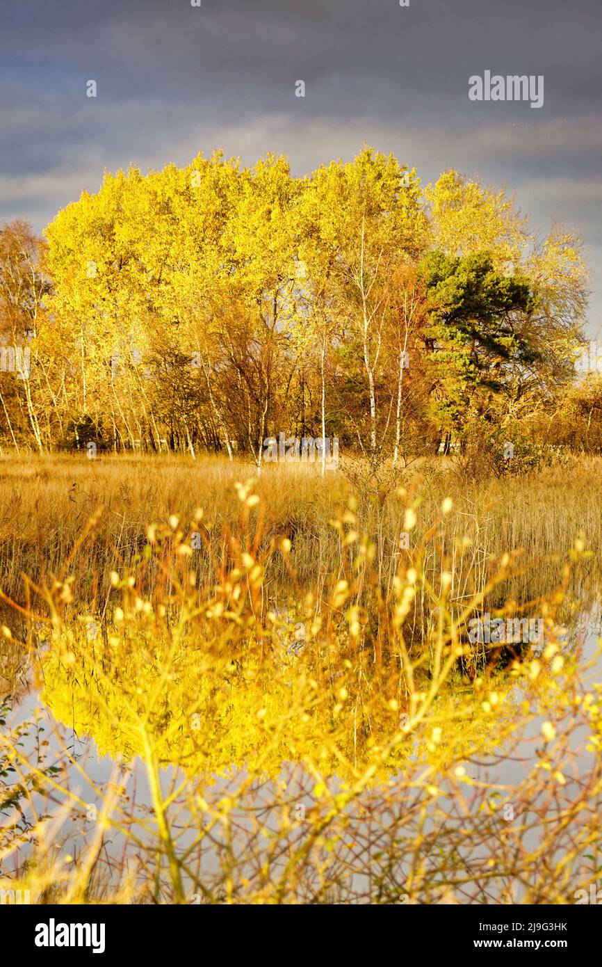 Land scenery hi-res stock photography and images - Alamy