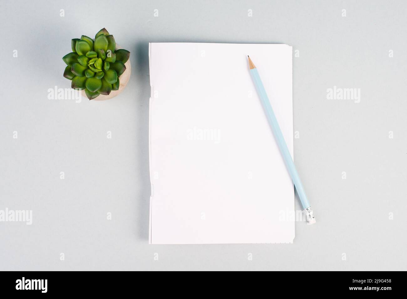 Empty paper with a pen and a cactus textured background, brainstorming ...