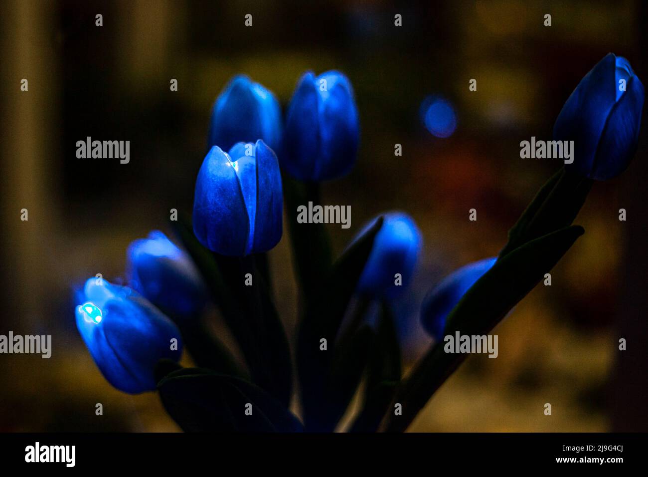 Blue flowers glow in the dark. Decoration for the room. Bright flowers ...