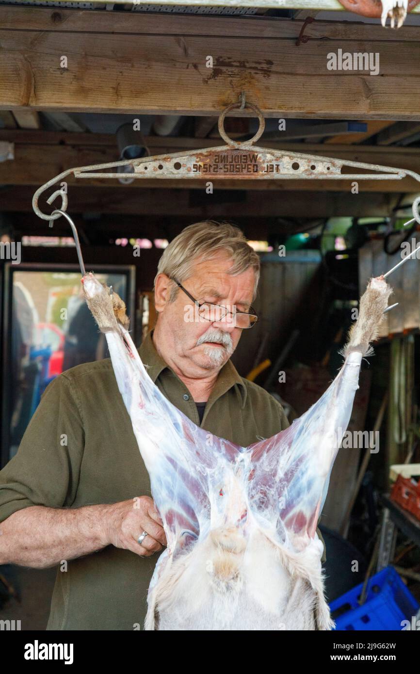 Evisceration hi-res stock photography and images - Alamy