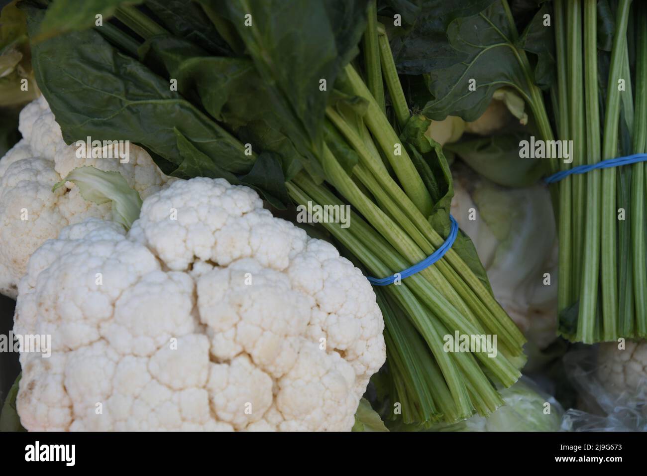 Danish flag green door hi-res stock photography and images - Alamy