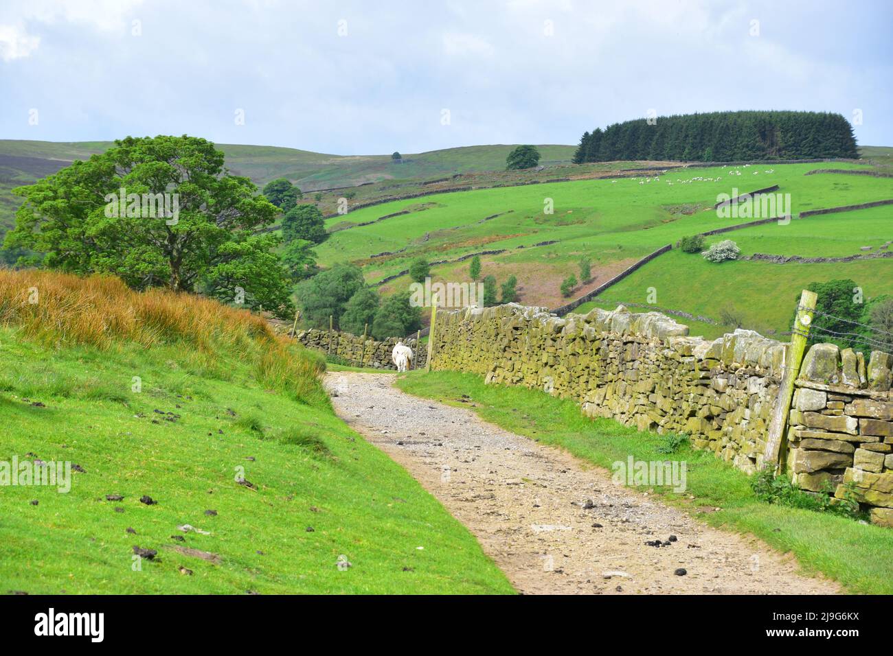 Pennines waterfalls hi-res stock photography and images - Alamy