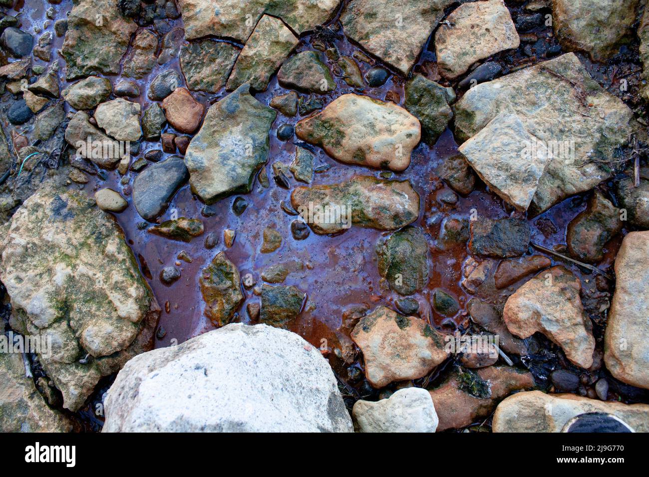 Oil polluted beaches hi-res stock photography and images - Alamy