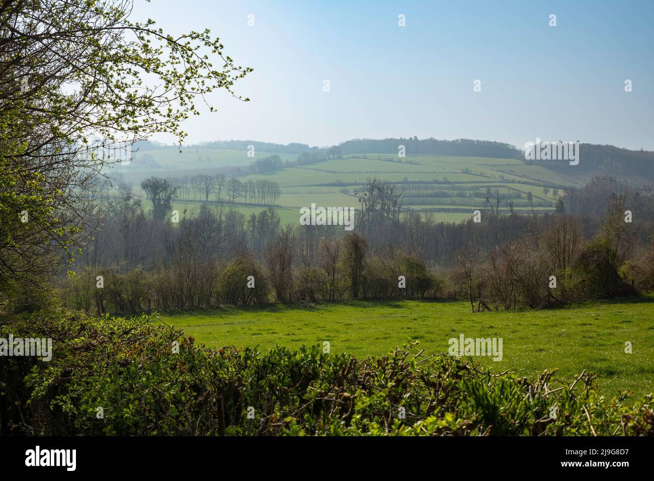 the landscape in the netherlands in south limburg with hills Stock ...