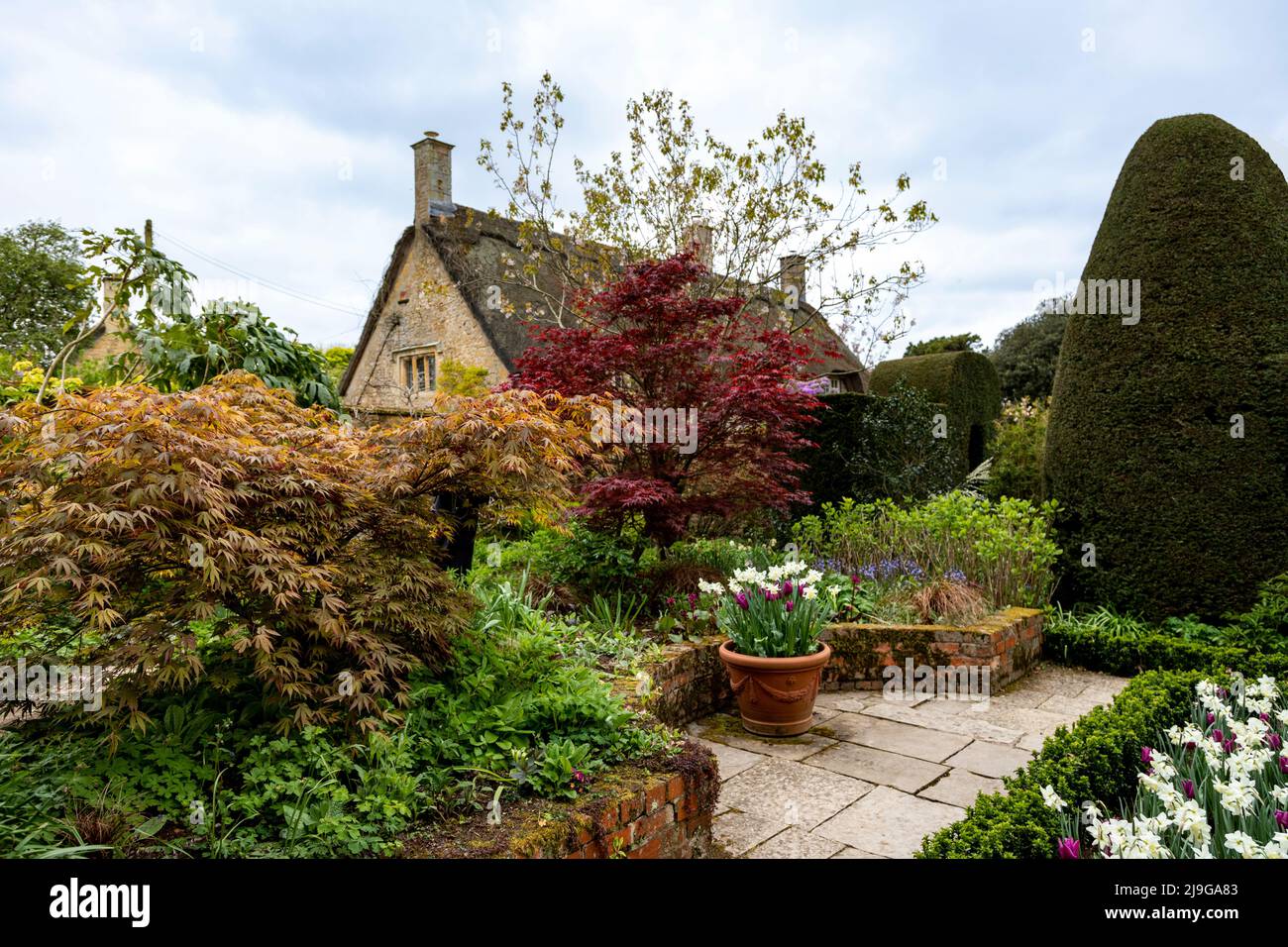 Spring season in Hidcote Manor Garden, Cotswolds, Chipping Camden ...
