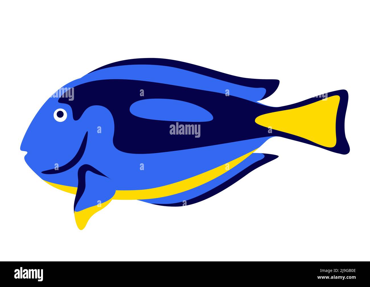 Illustration of tropical powder blue tang fish. Aquarium and sea animal ...