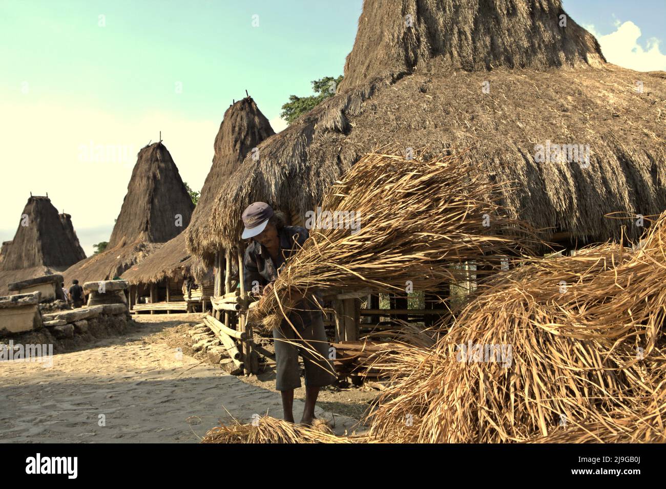 A man carrying dried thatches to cover the roof of a house in ...