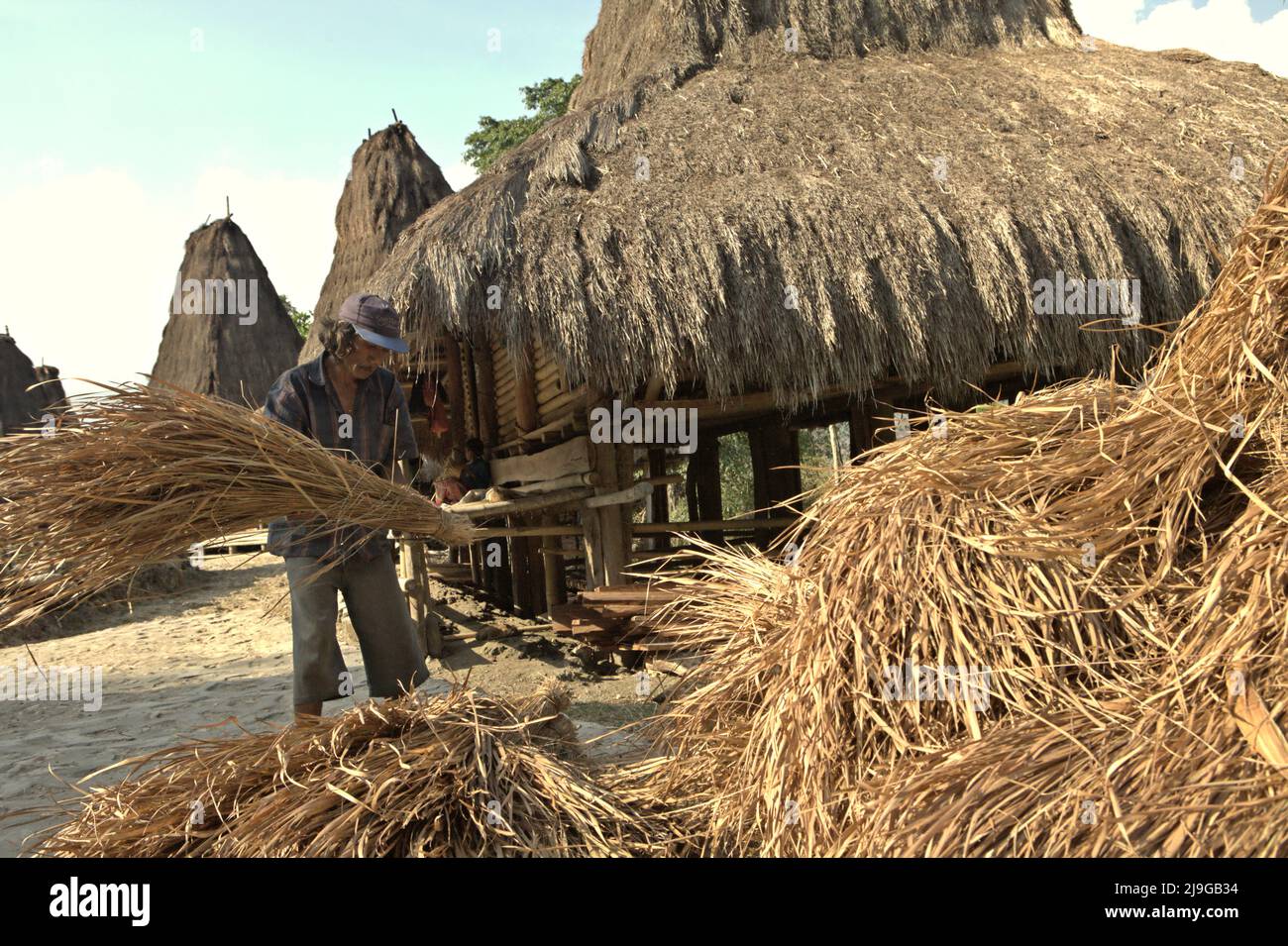 A man carrying dried thatches to cover the roof of a house in ...