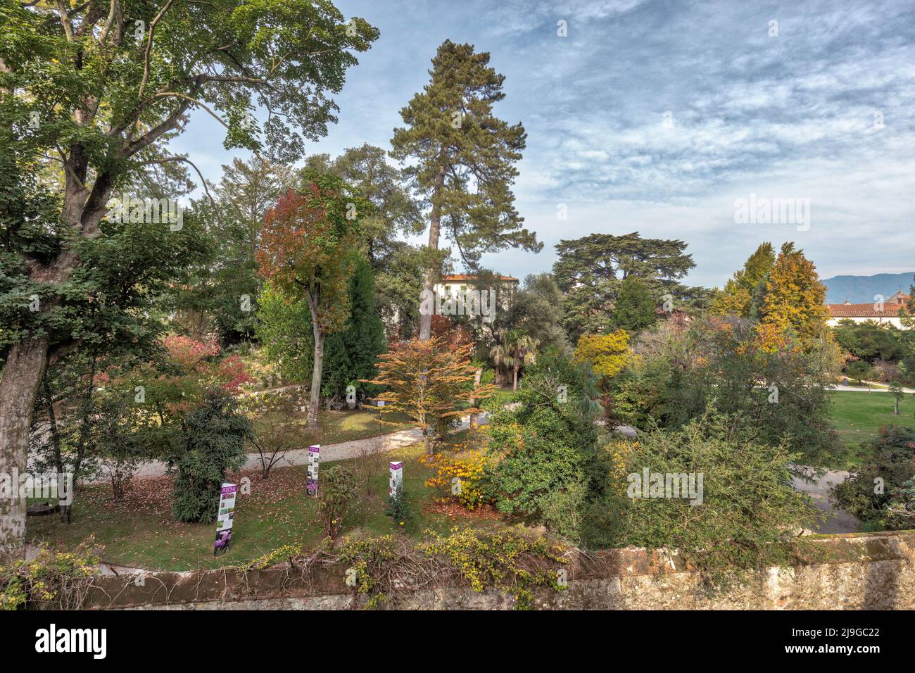 Trees, shrubs, tropical plants and arboretum in the Botanical gardens ...