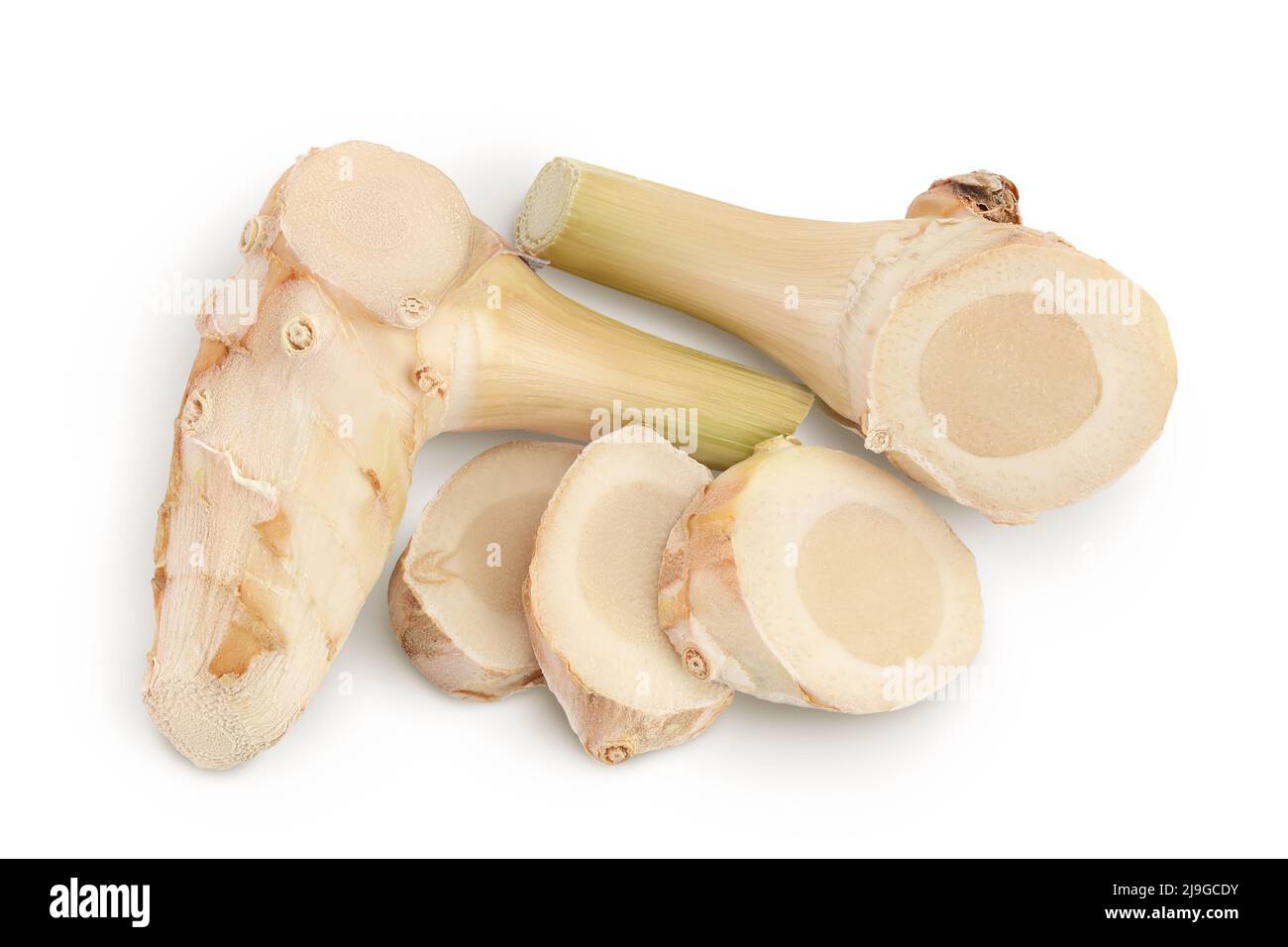 Fresh galangal root with slices isolated on white background with ...