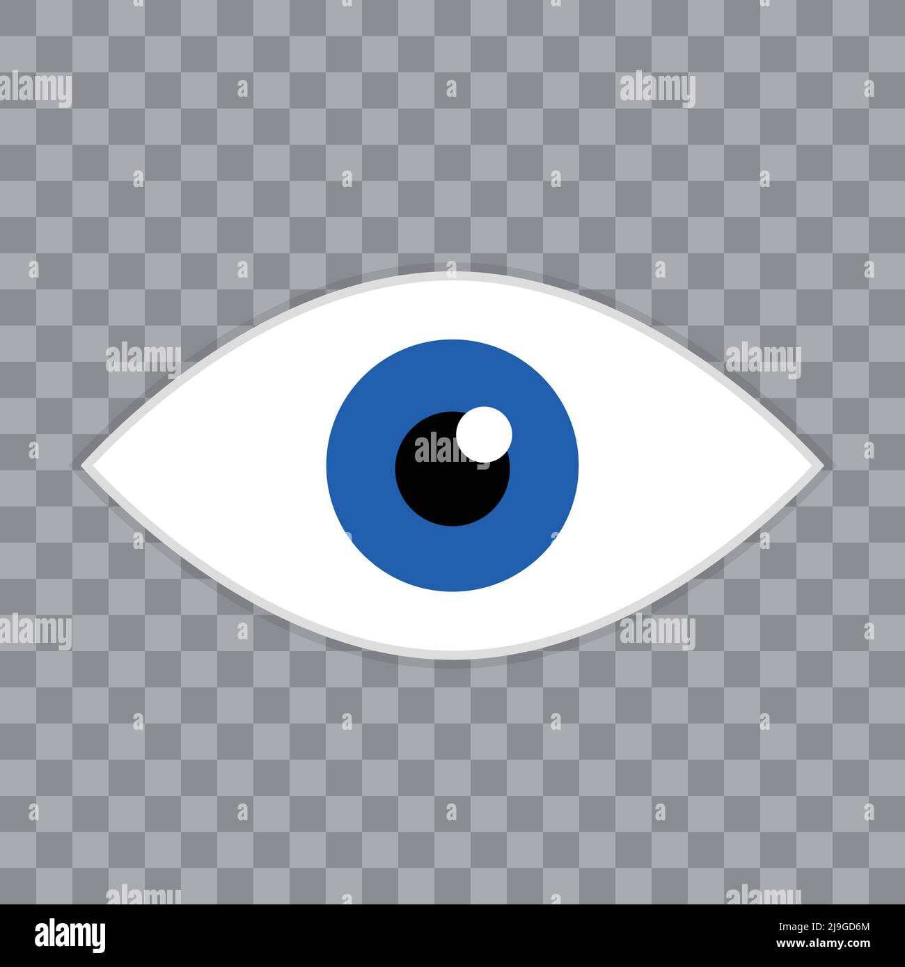 Vector illustration of realistic eyes. The background is transparent ...