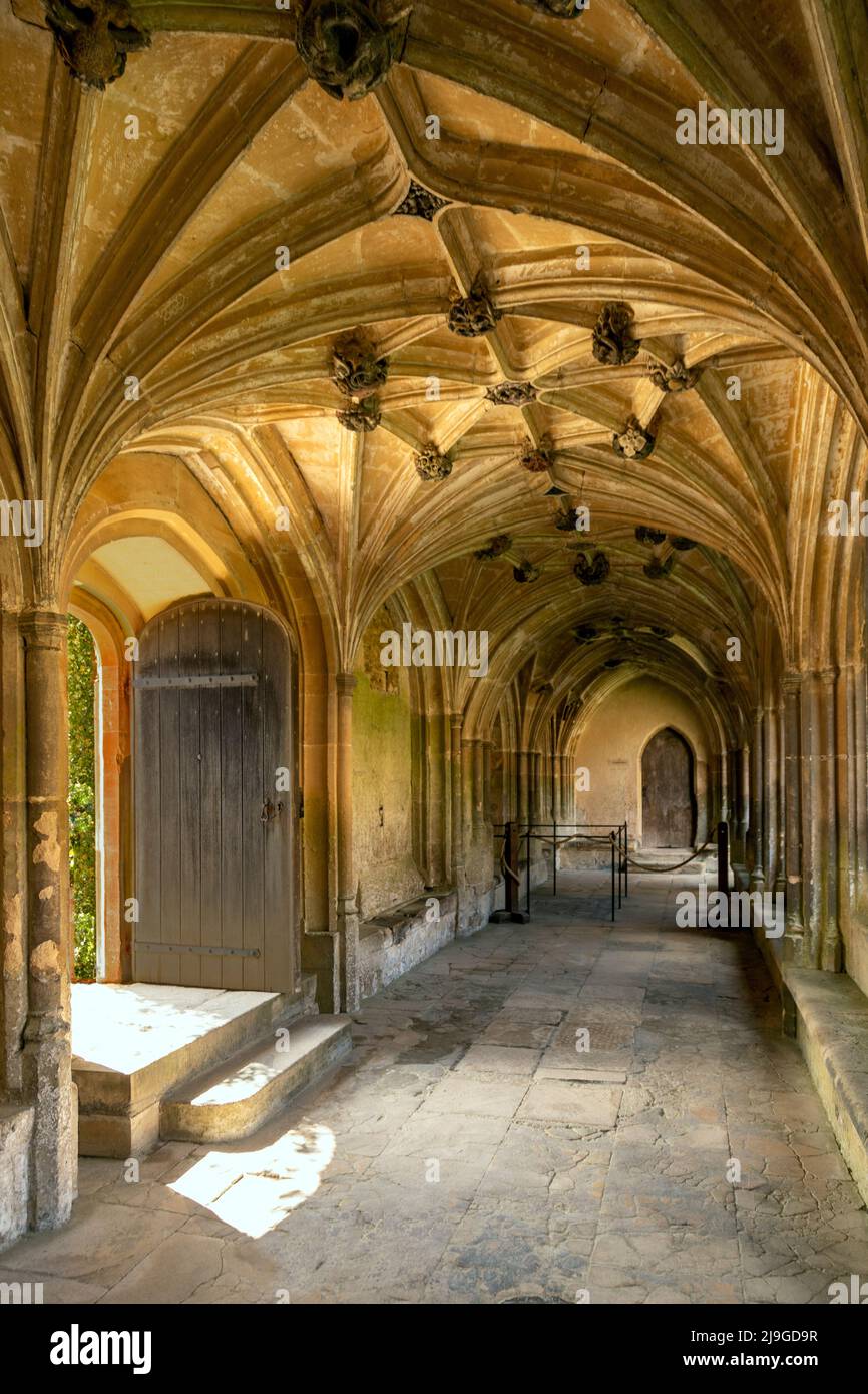 Interior view of Lacock Abbey cloister, a medieval landmark, Chippenham ...
