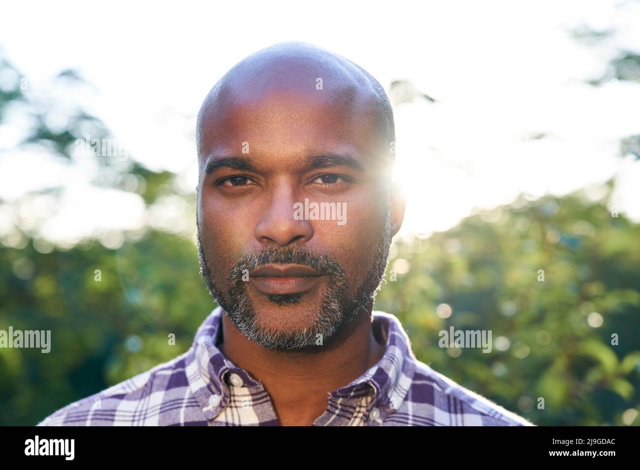 Man ups tree hi-res stock photography and images - Alamy