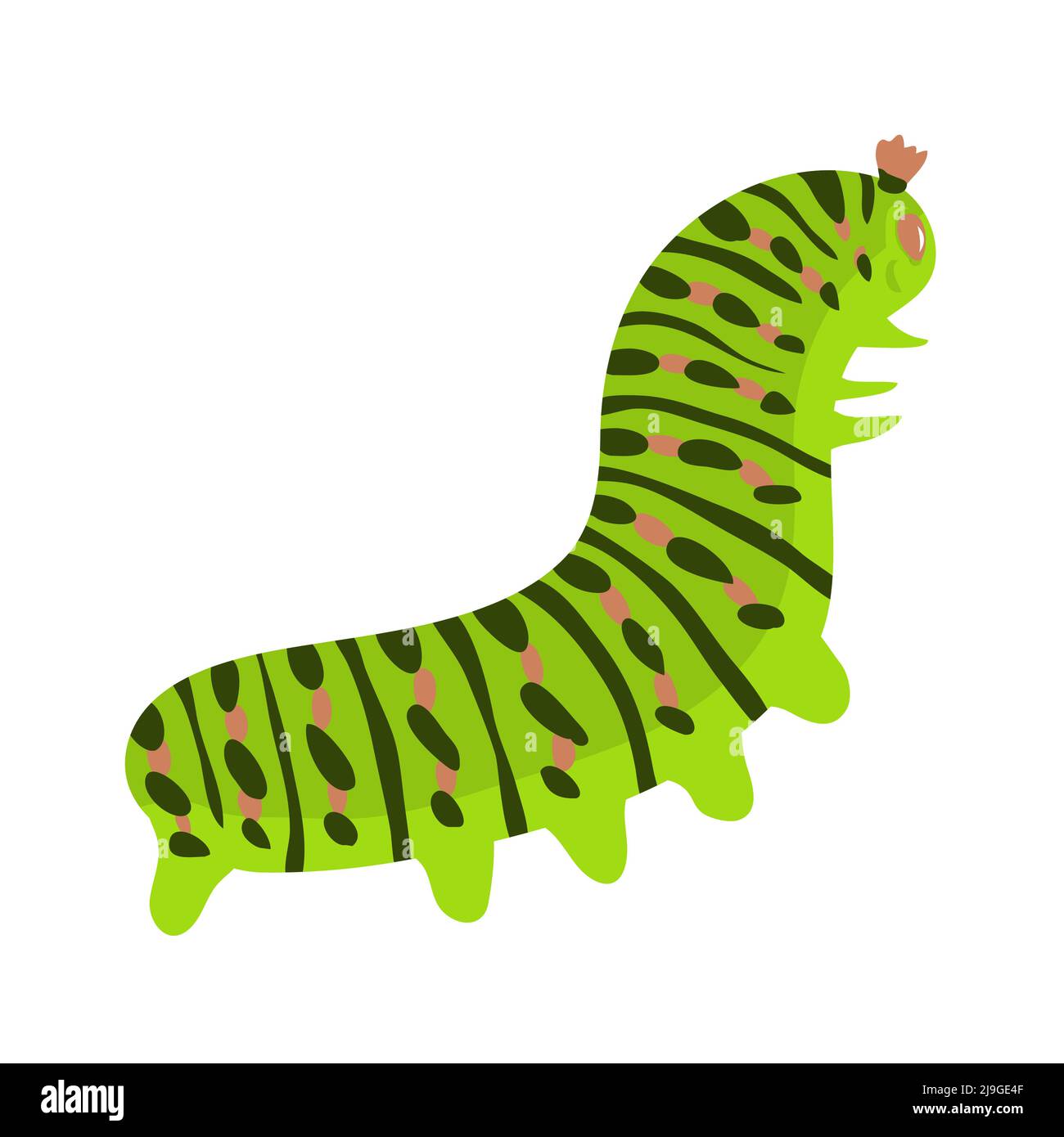 Green caterpillar illustration. Butterfly larva. Insect pest. Striped ...