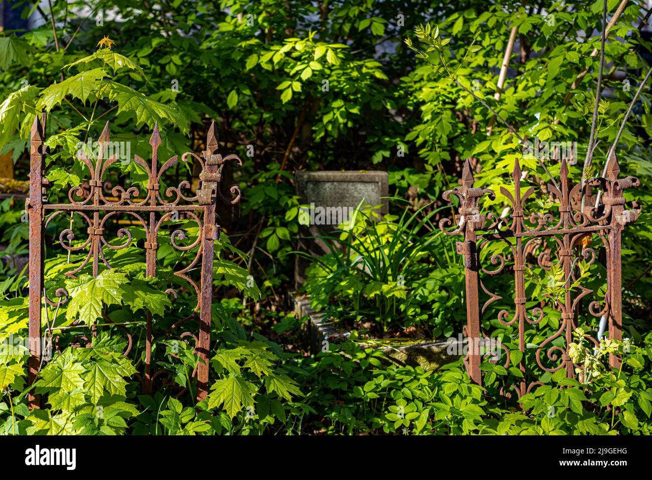 old rusty fence on the grave in the cemetery. High quality photo Stock ...