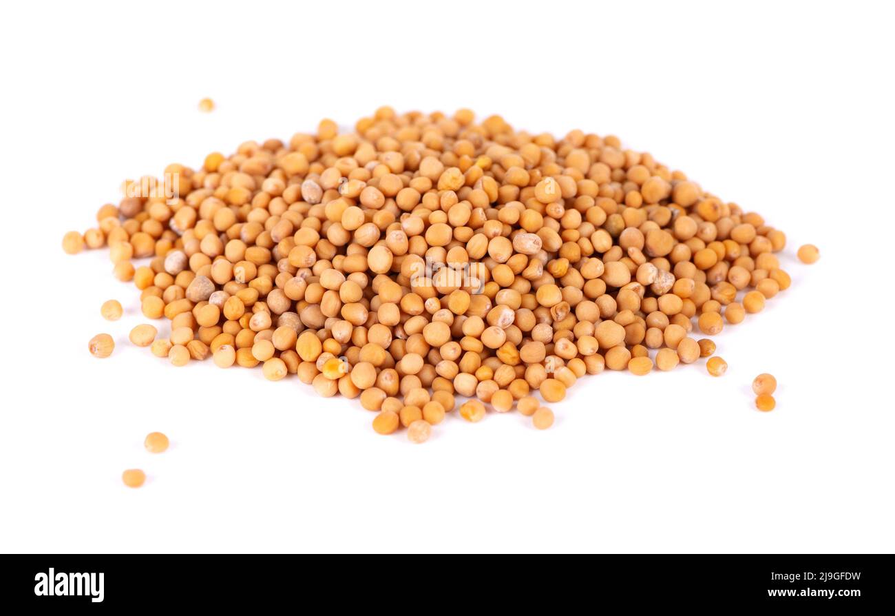 Mustard seeds isolated on white background. Pile of dry mustard grains ...