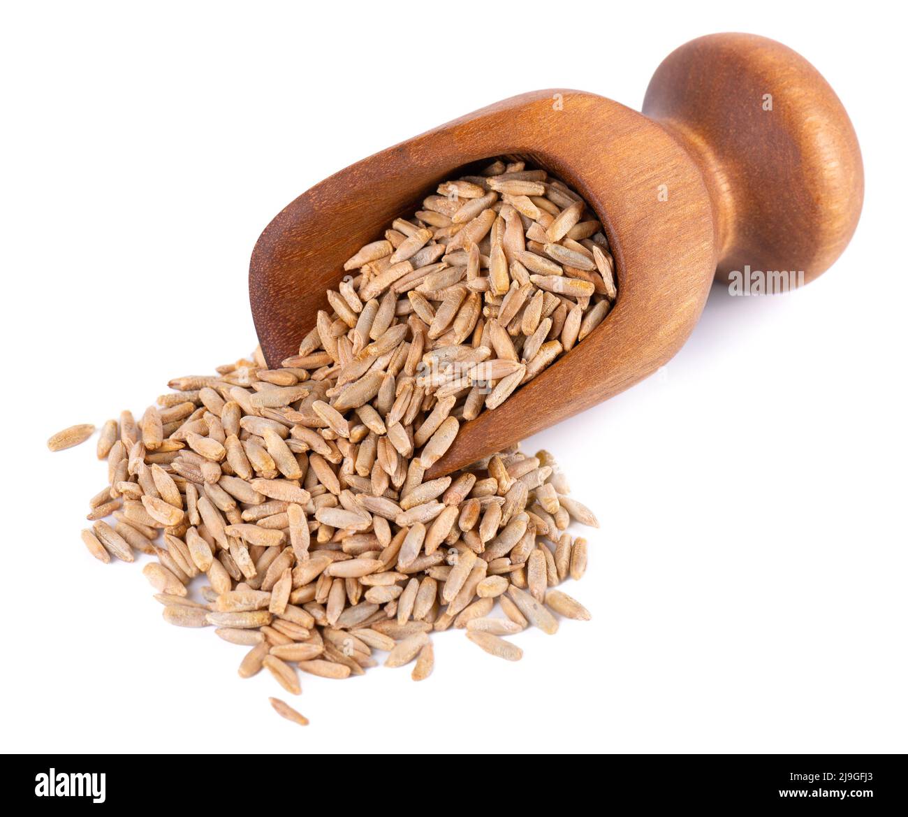 Rye grains isolated on white background. Pile of rye malt seeds in ...