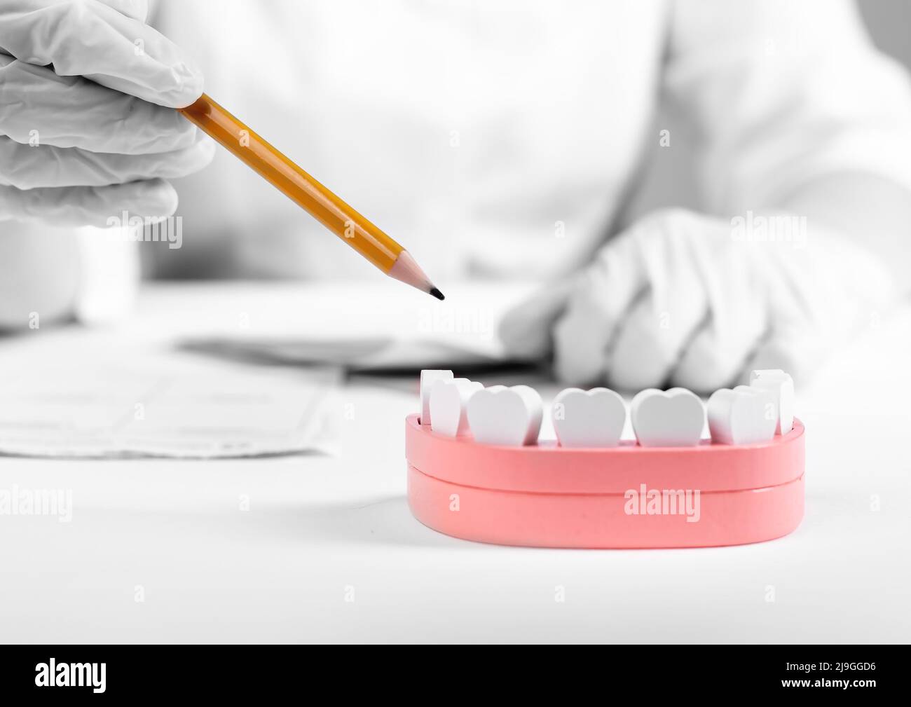 Dentist demonstrating jaw model with teeth and explaining oral hygiene ...