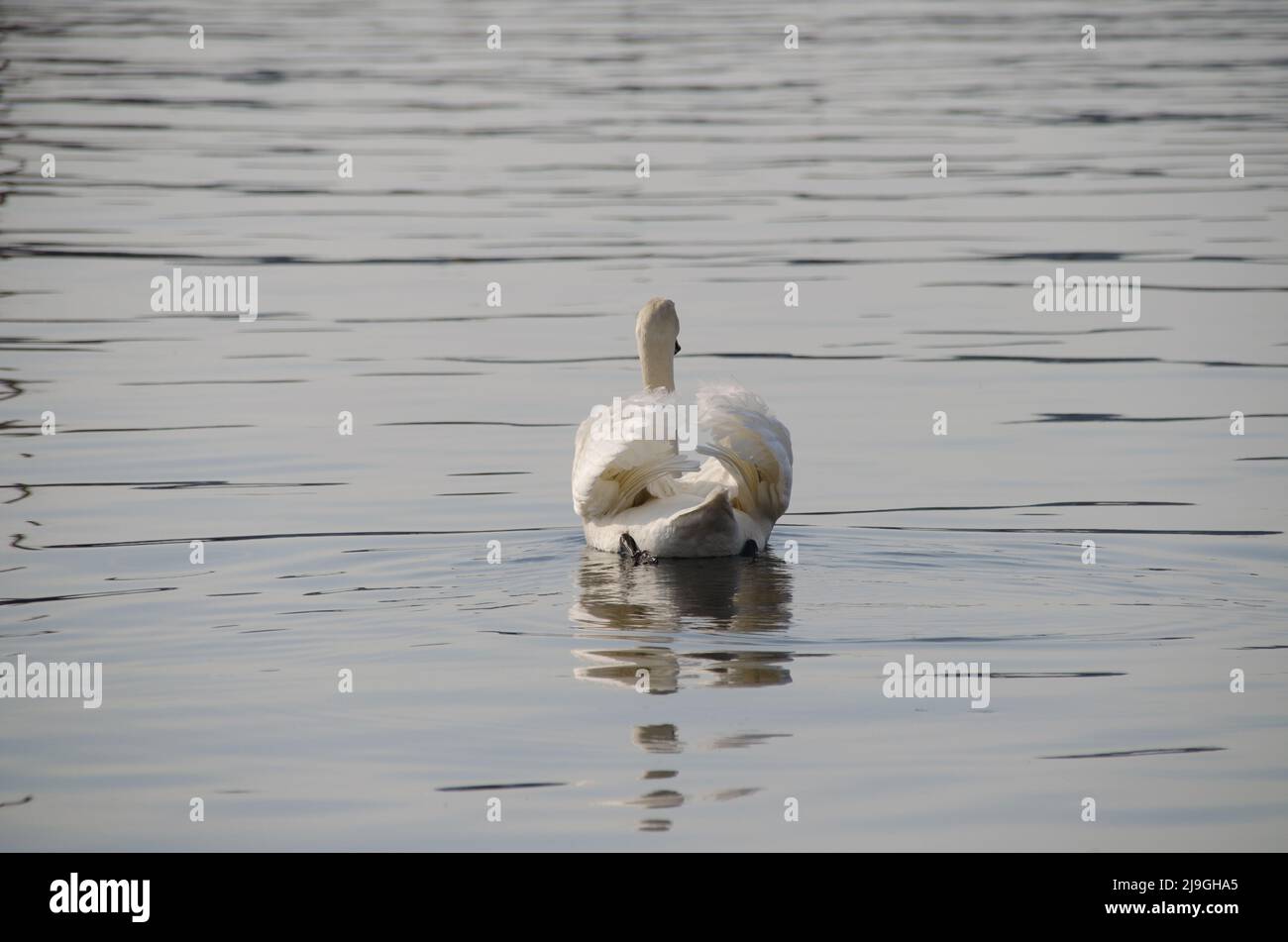 Water back light hi-res stock photography and images - Alamy