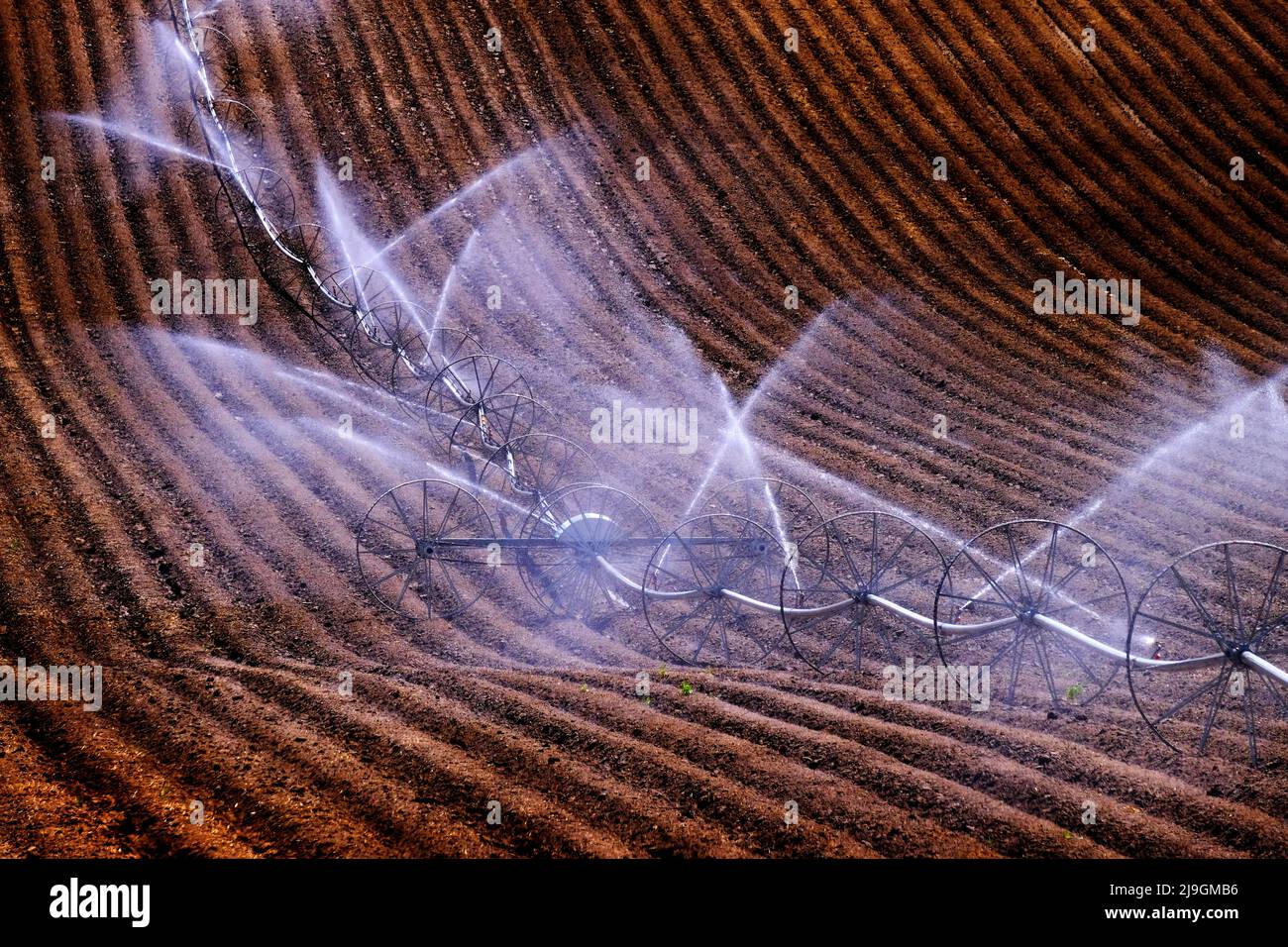 Wheel line sprinklers for irrigation of furrowed plowed farm field dirt ...