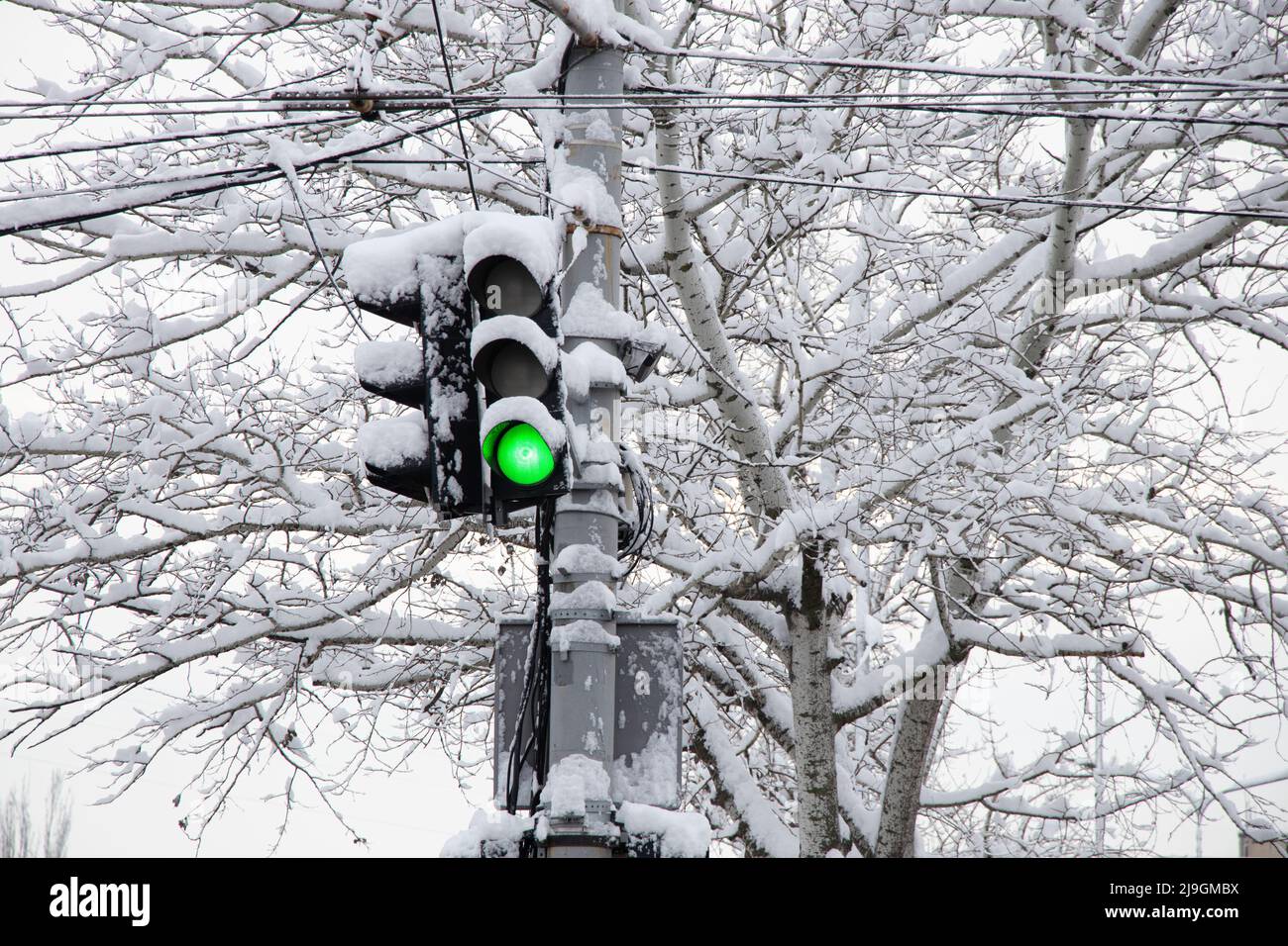 a green traffic light in winter in snow and ice in Ukraine in the city ...