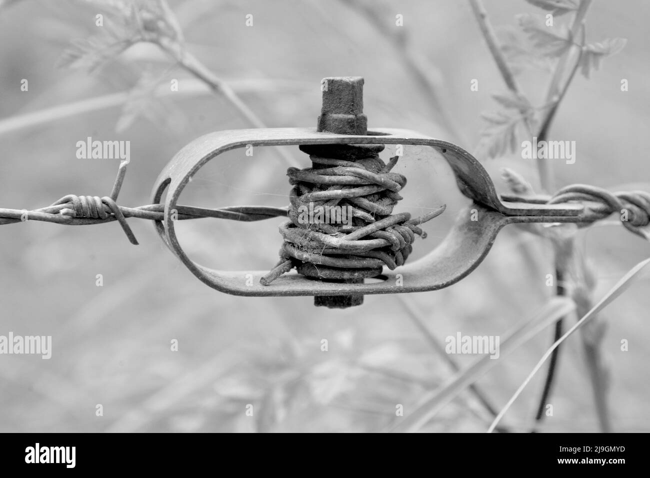 Edge connector Black and White Stock Photos & Images - Alamy