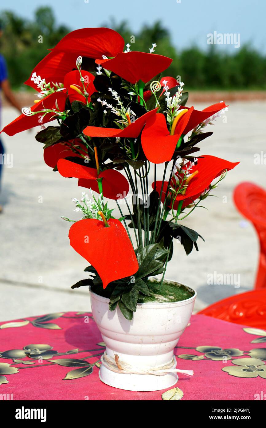 Making tob flowers hi-res stock photography and images - Alamy