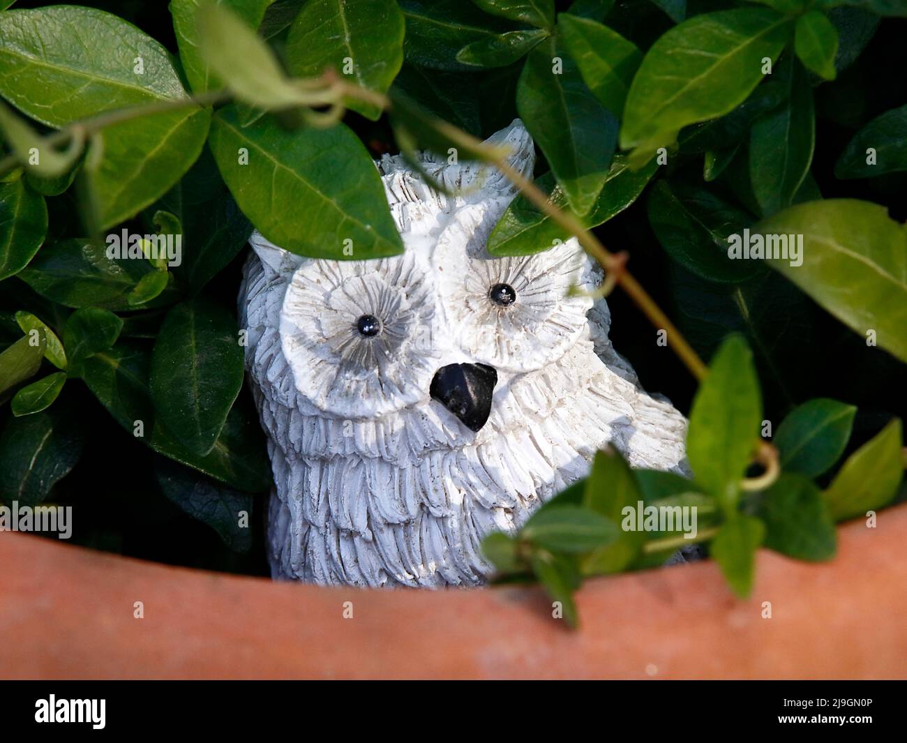 Owl figure hi-res stock photography and images - Alamy