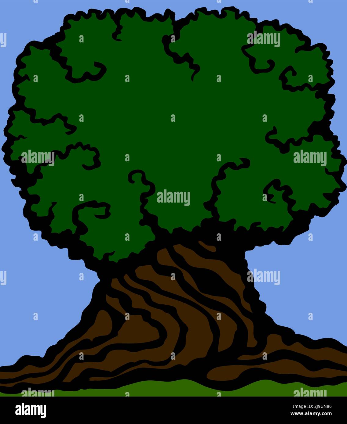 Old wood background. Image of a large trunk and a dense crown of an old ...