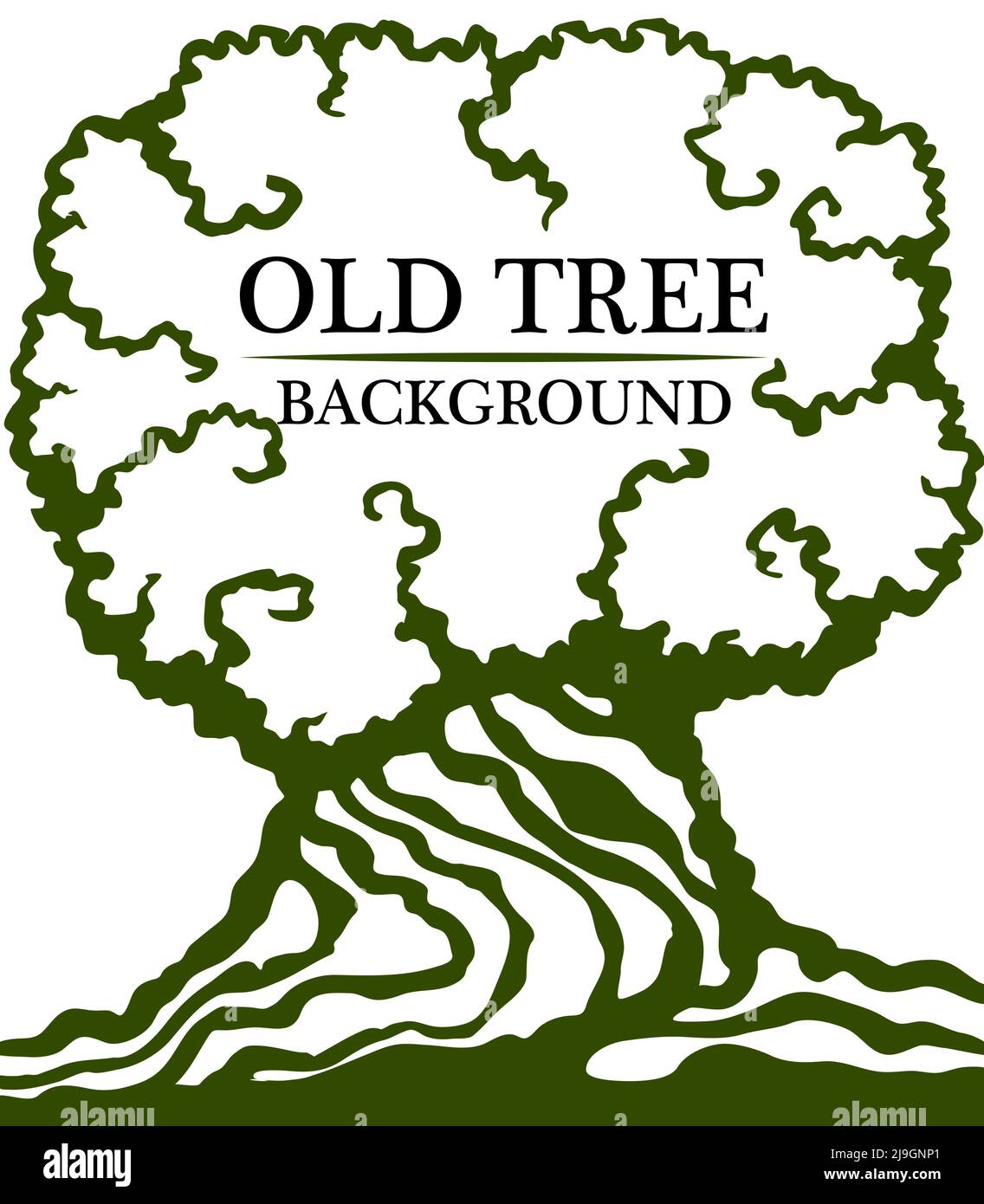 Bark beech tree texture Stock Vector Images - Alamy