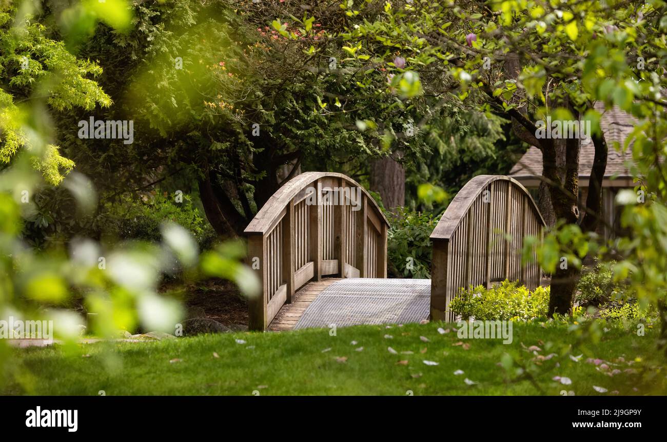 Scenic Path and Wooden Bridge in a park with green trees Stock Photo ...